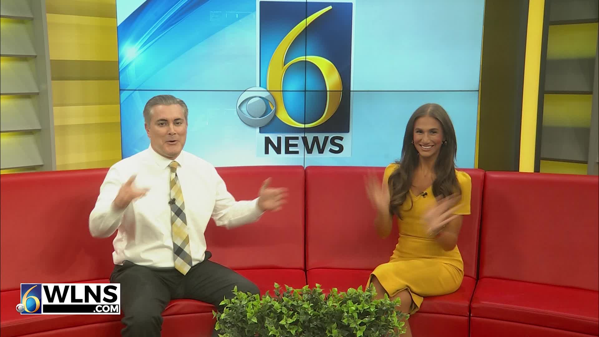 Please welcome Megan Viecelli to 6 News! – WLNS 6 News