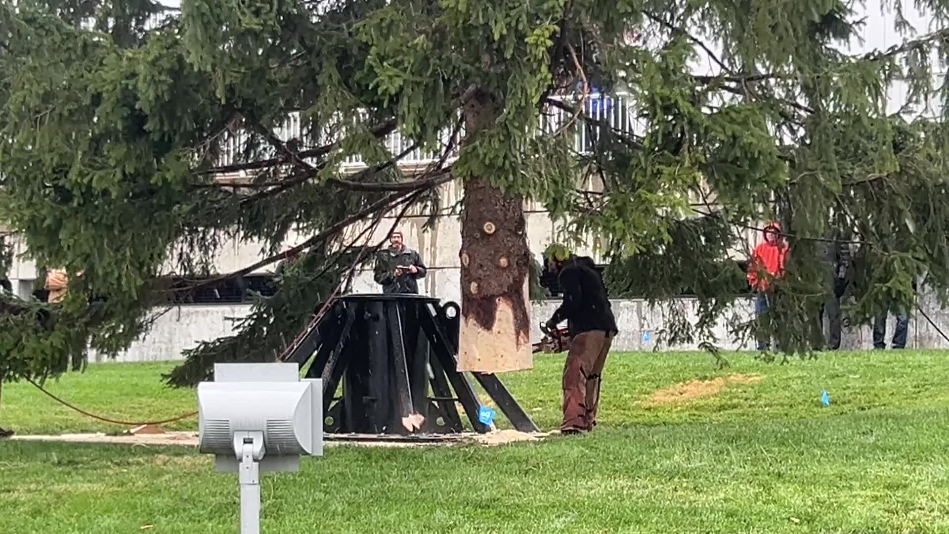 60-foot tree arrives at the Peoria Riverfront Museum for the holidays ...
