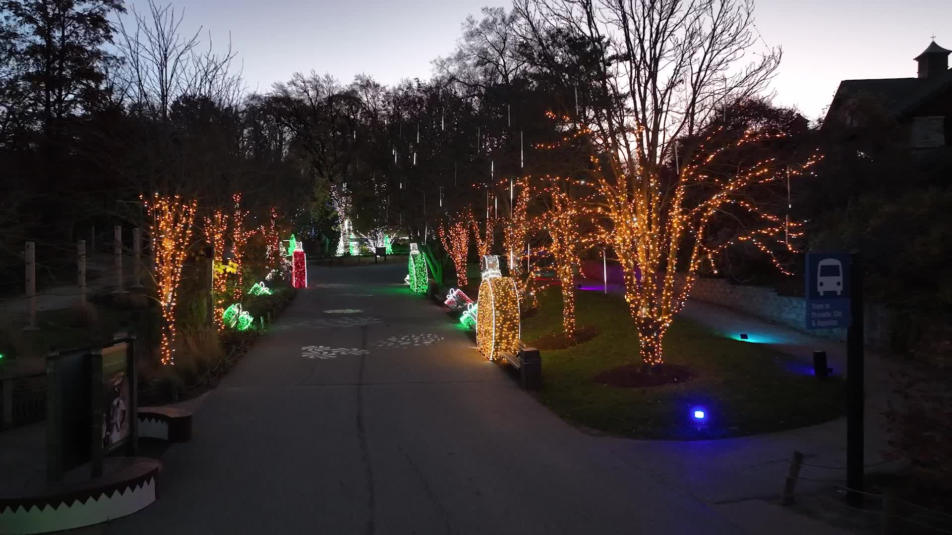Wild Winter Lights returns to Cleveland Metroparks Zoo – Fox 8 ...