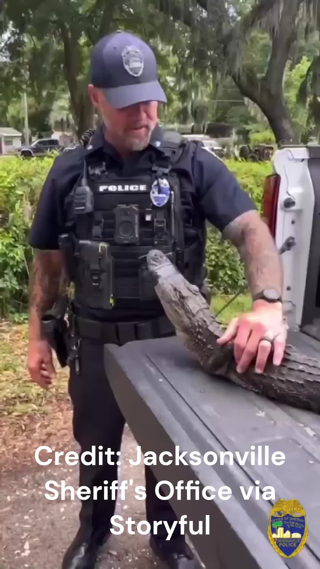 ‘Leave those grandmas alone’: 5-foot gator caught on 104-year-old woman ...