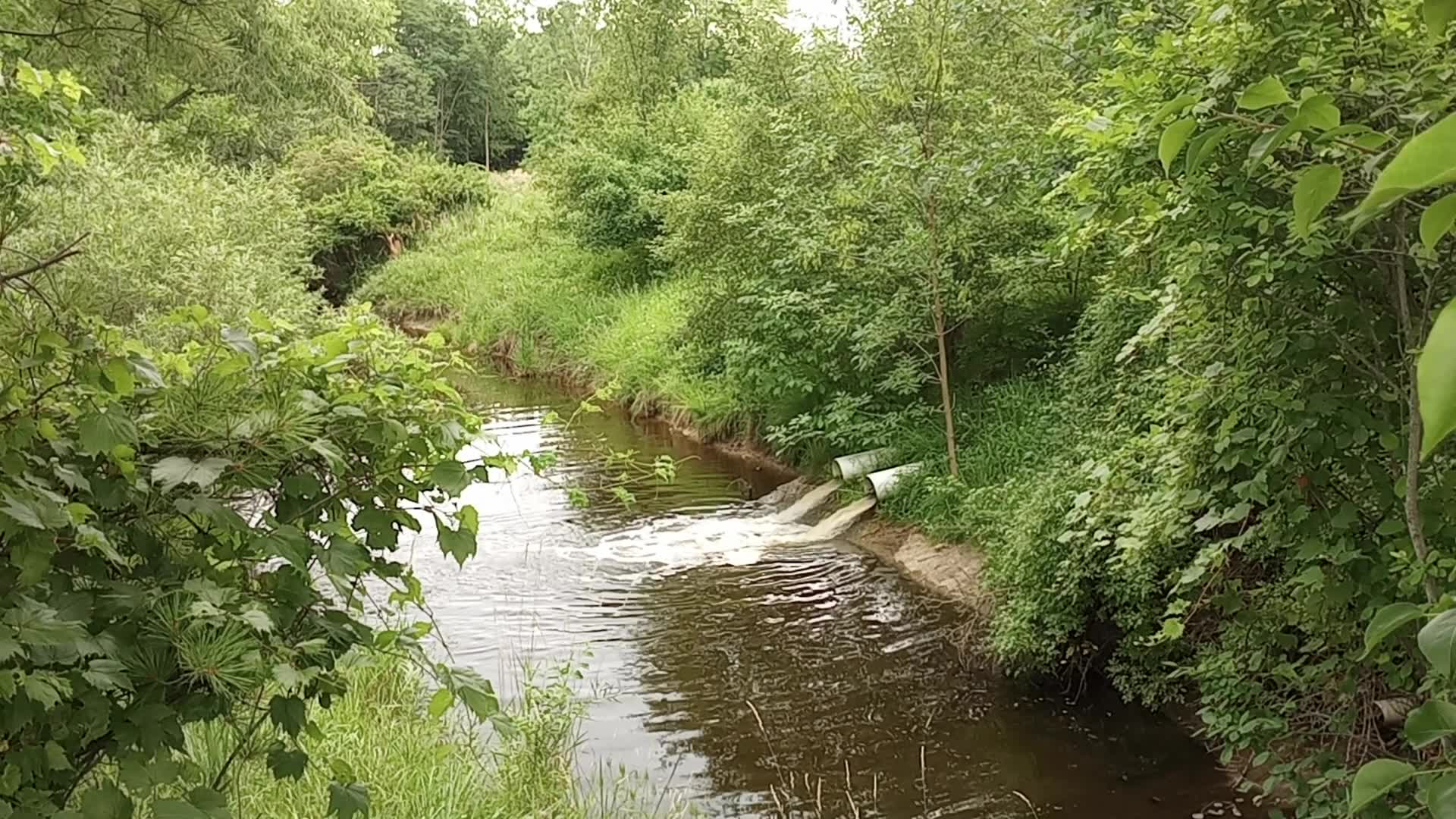 Tollgate Drain System video 4, July 5, 2024 – WLNS 6 News