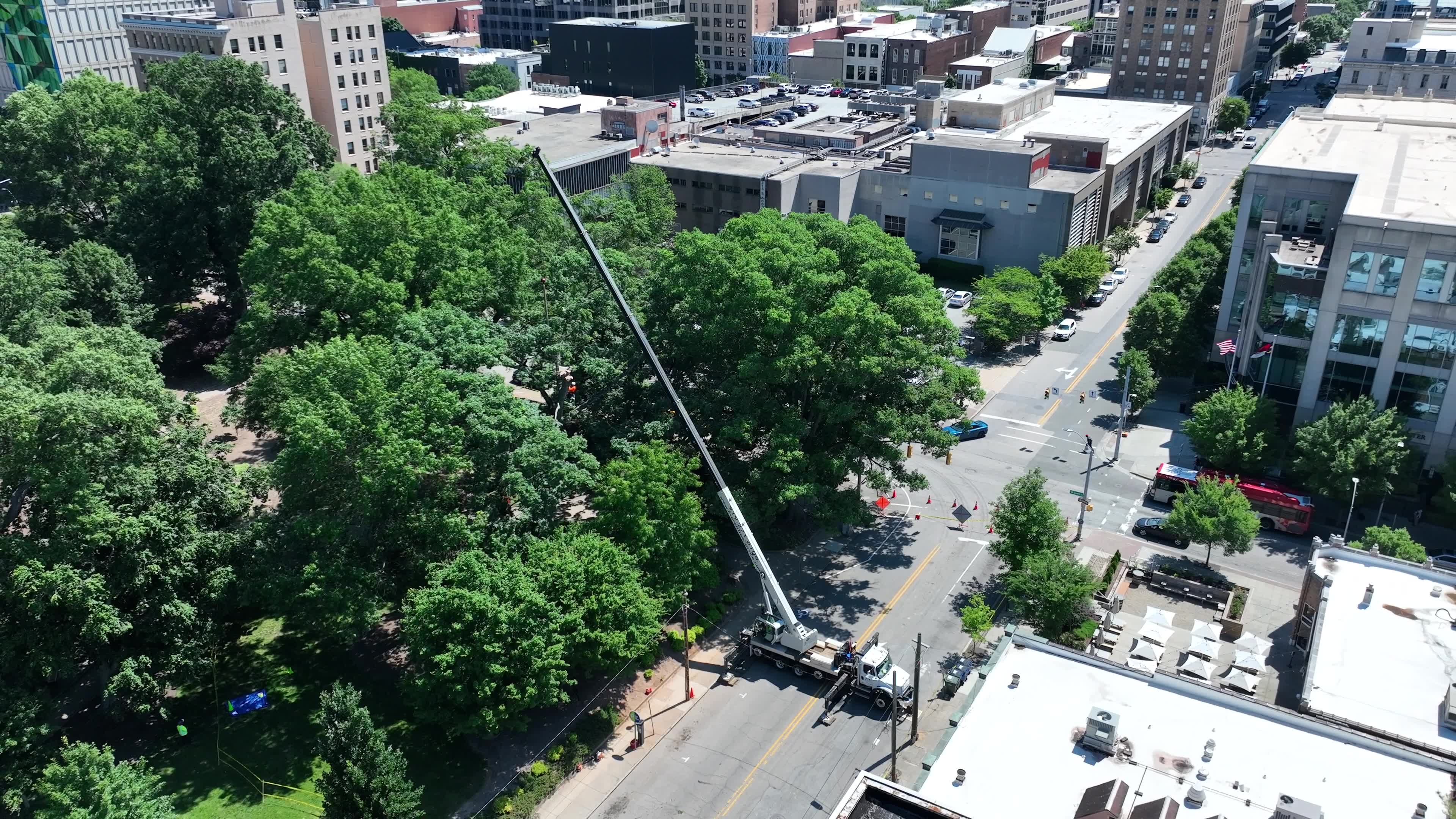 A look from above at the Nash Square tree removal in downtown Raleigh ...