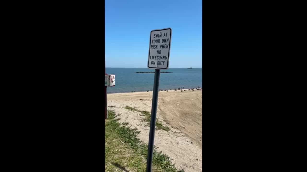 Lake Erie beaches under bacteria contamination advisory – Fox 8 ...
