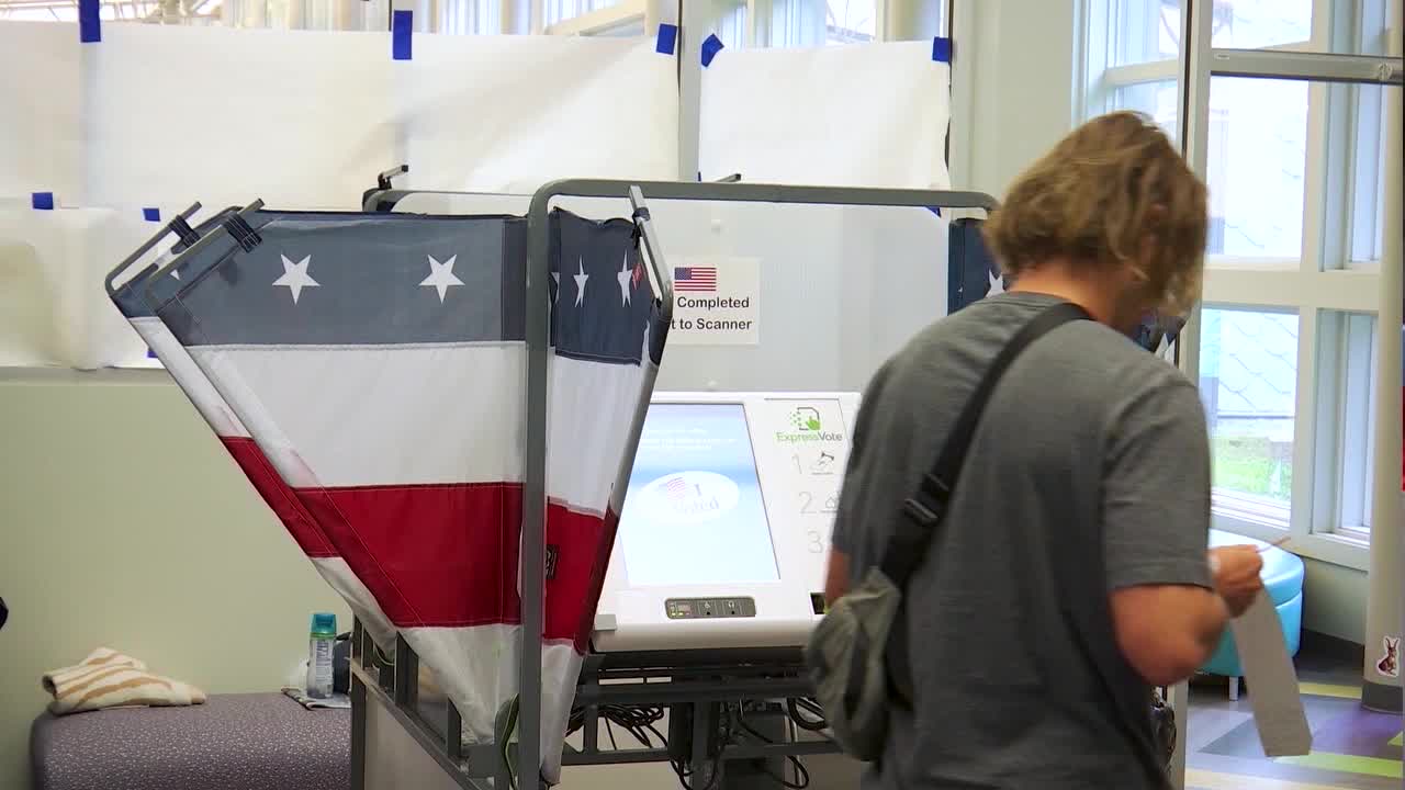 Early voting concerns in Davidson County – WKRN News 2